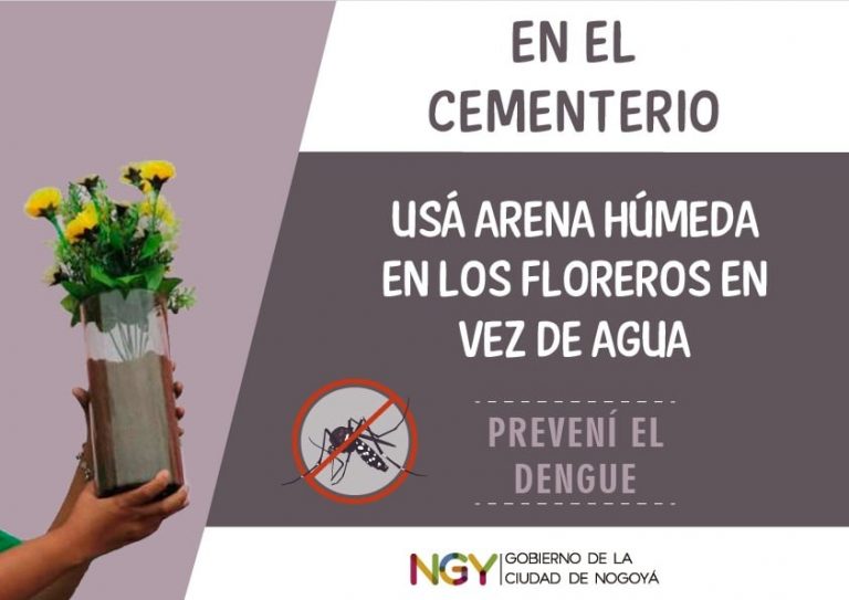LA MUNICIPALIDAD RECOMIENDA USAR ARENA HÚMEDA EN LOS FLOREROS QUE SE ...