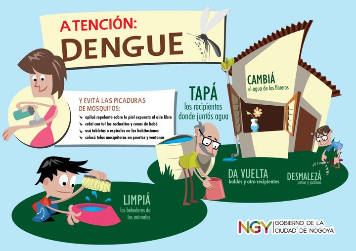 PRECAUCIONES CONTRA EL DENGUE – Municipio de Nogoyá